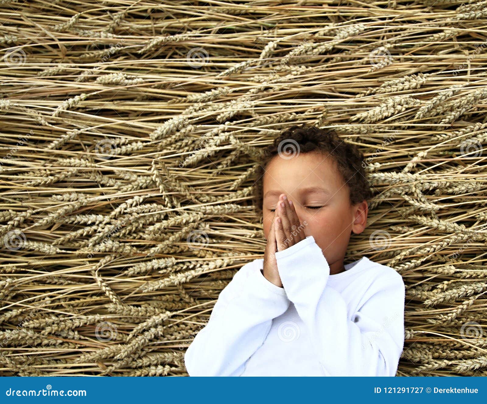 Little Boy Praying To God Stock Photo Stock Image - Image of bible ...