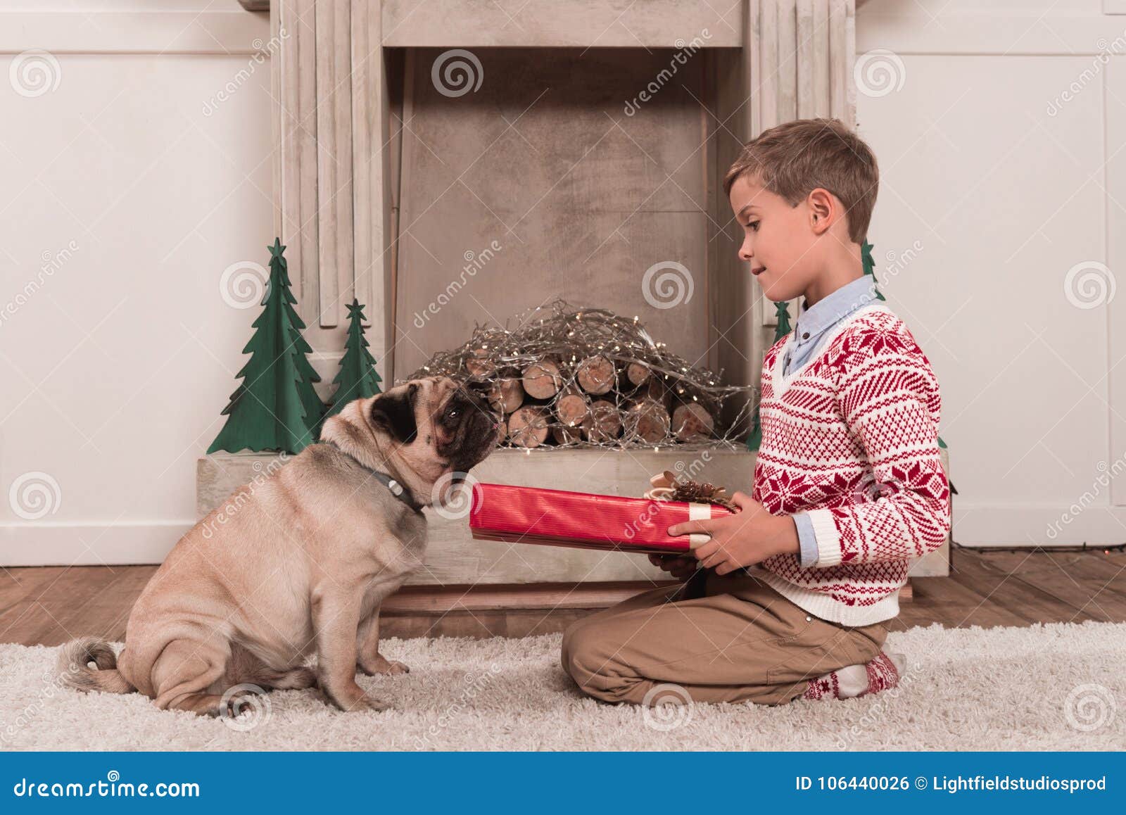 Boy presenting gift to dog stock photo. Image of mops - 106440026