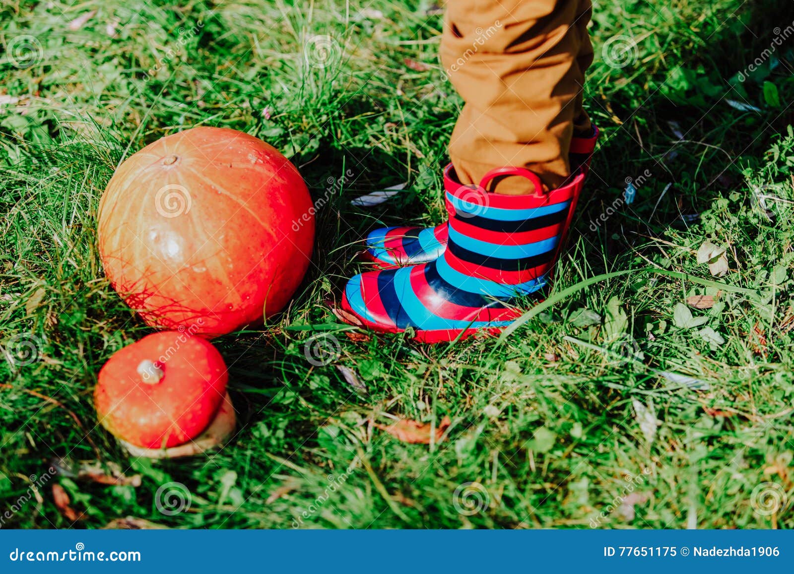 Little Boy with Pumpkin at Fall, Autumn Activities Stock Image - Image ...