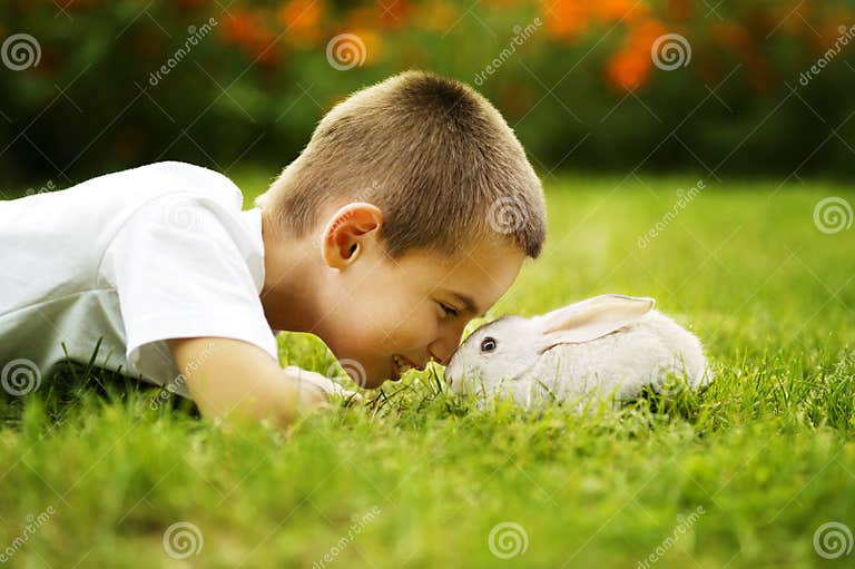 Little boy with rabbit stock photo. Image of childhood - 28808188
