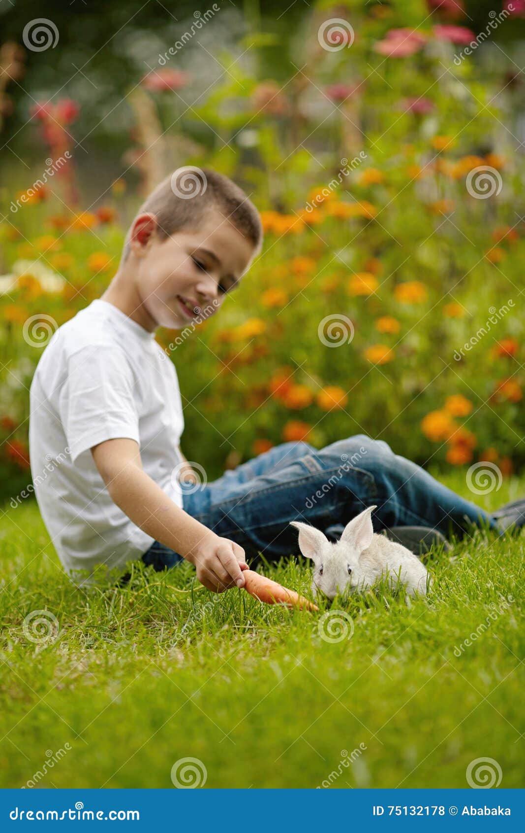 Little boy with rabbit stock photo. Image of farm, animal - 75132178