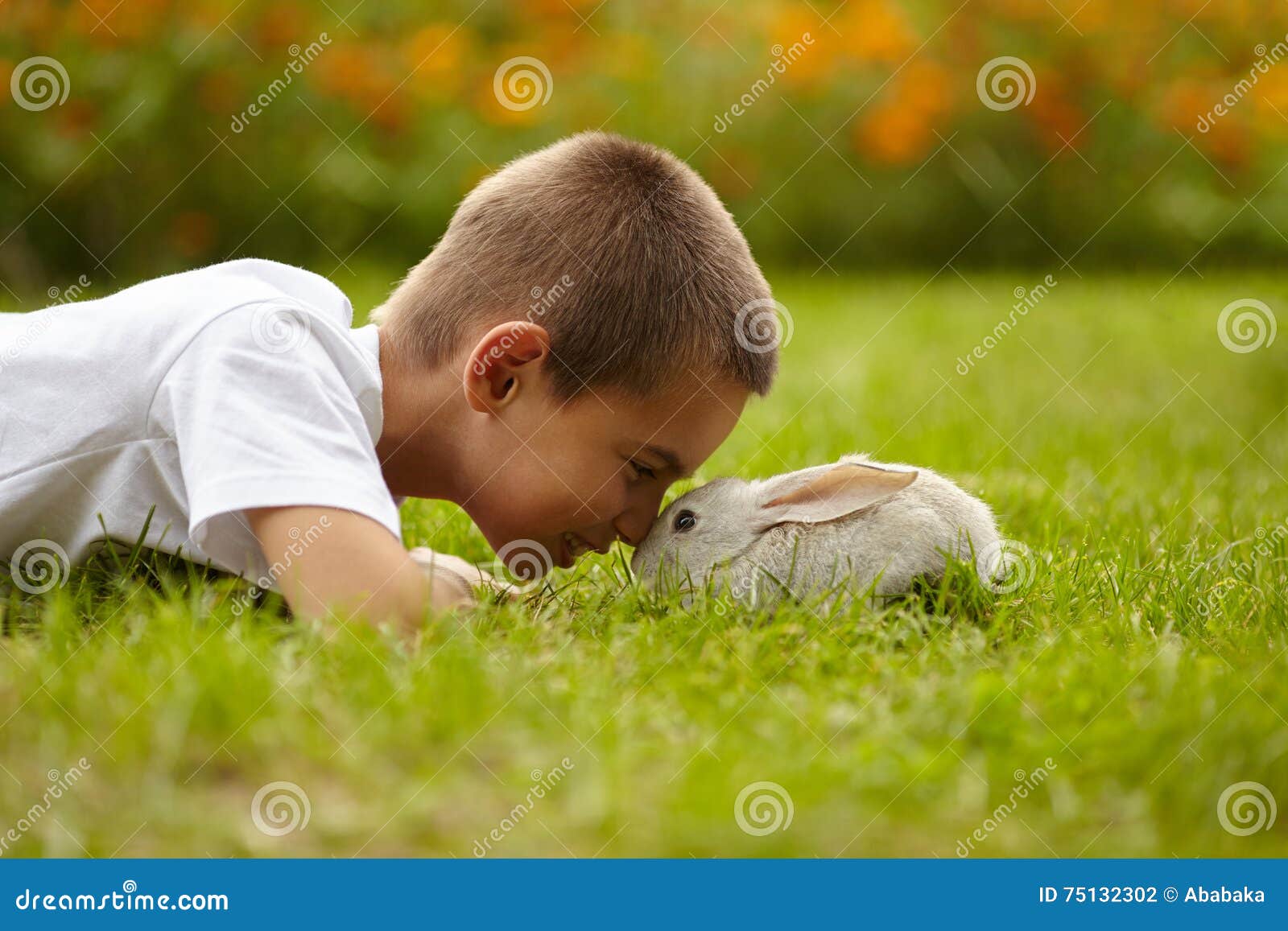 Little boy with rabbit stock photo. Image of happy, little - 75132302