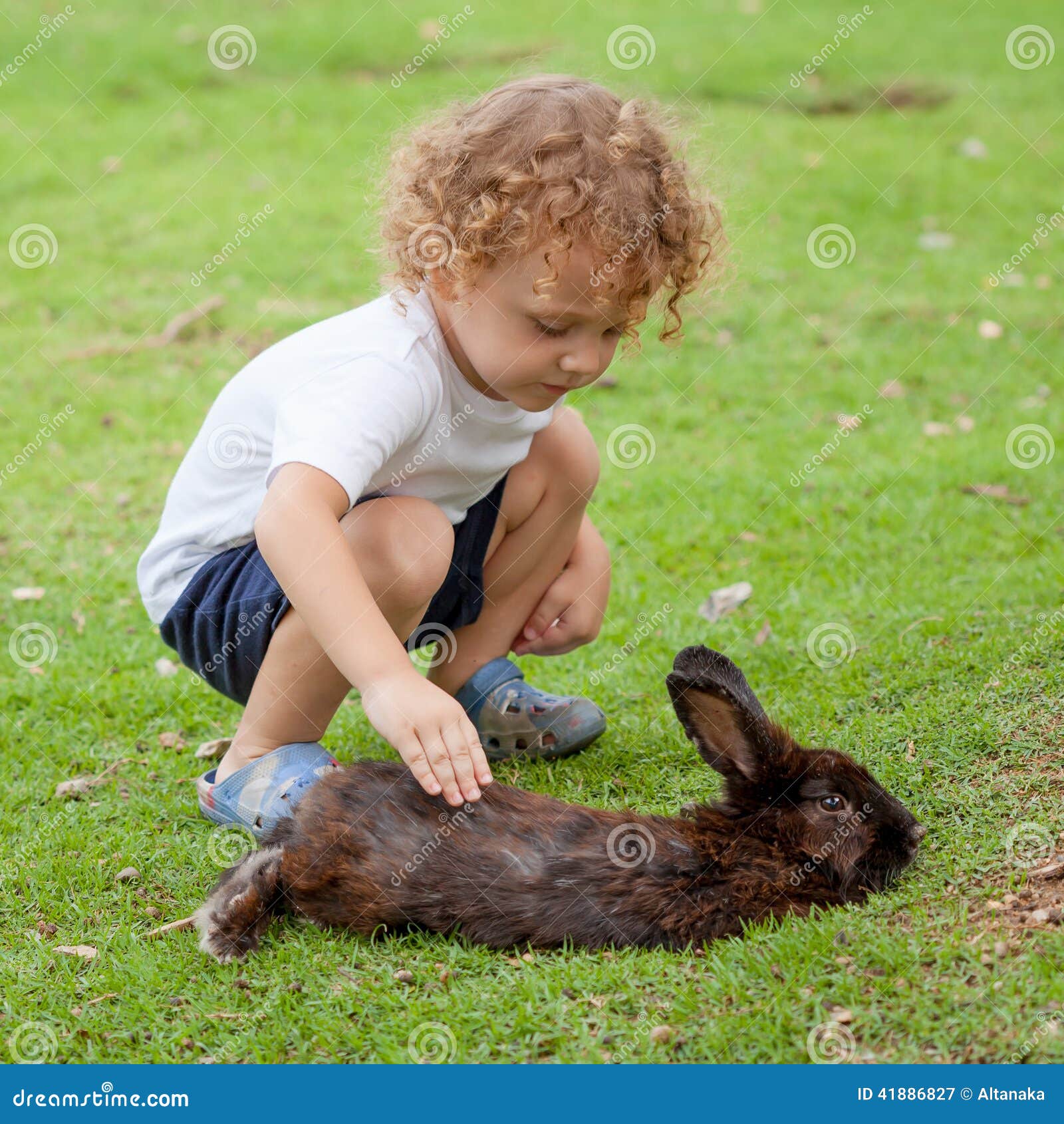 Little boy with rabbit stock image. Image of hair, easter - 41886827
