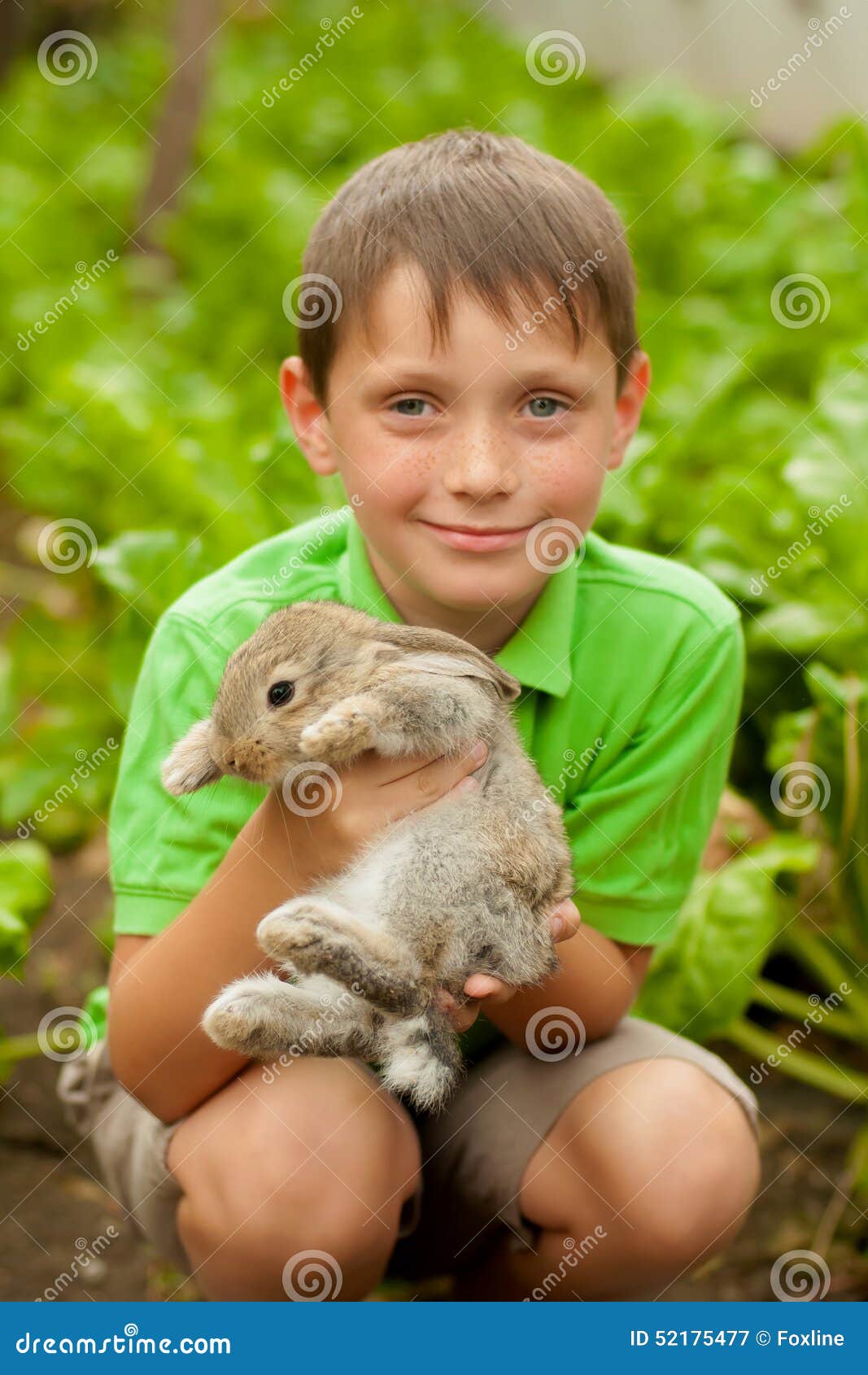 The Little Boy with a Rabbit in the Hands Stock Image - Image of color ...