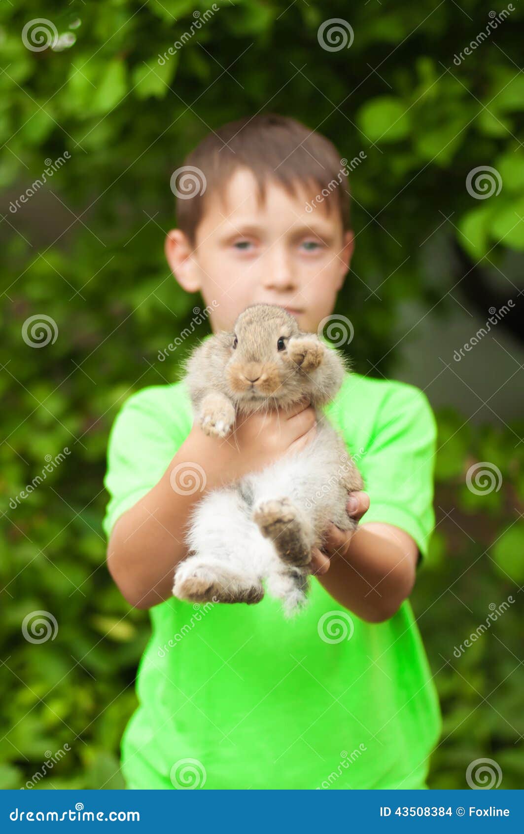Little Boy with a Rabbit in His Hands Stock Photo - Image of copy ...