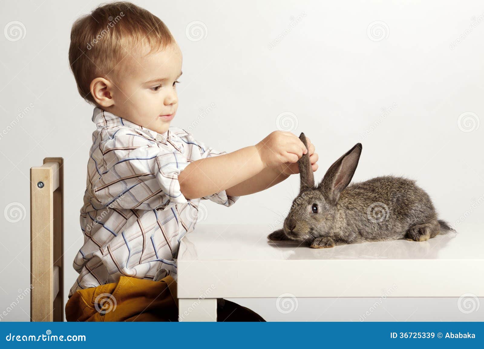 Little boy with rabbit stock image. Image of adorable - 36725339