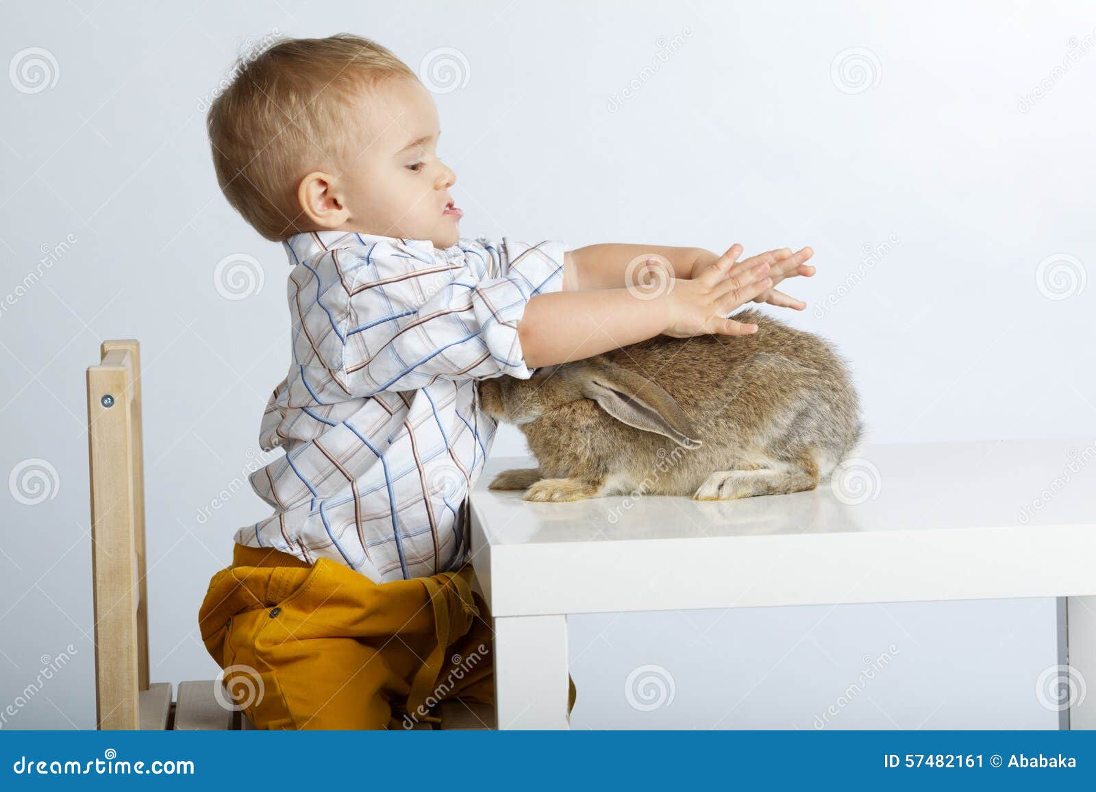 Little Boy with Rabbit on White Stock Image - Image of love, enjoyment ...