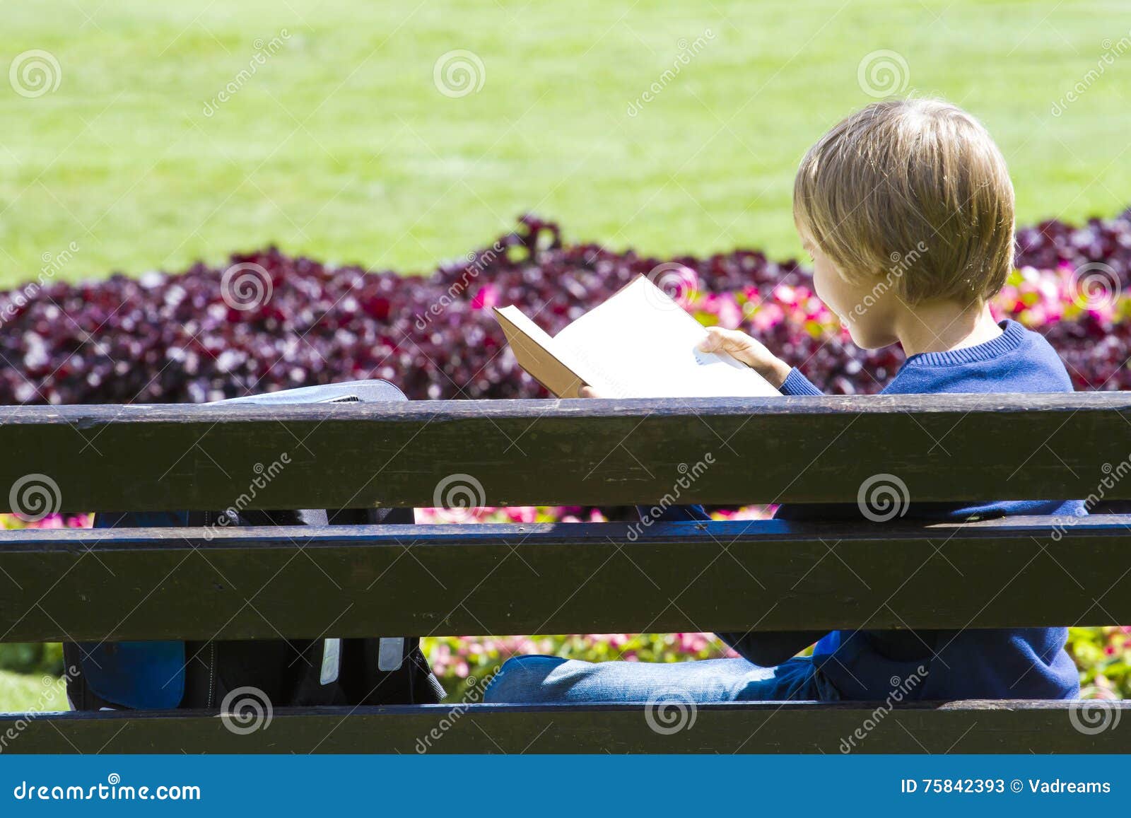 Little Boy Reading Book on Bench in the Park Stock Image - Image of ...