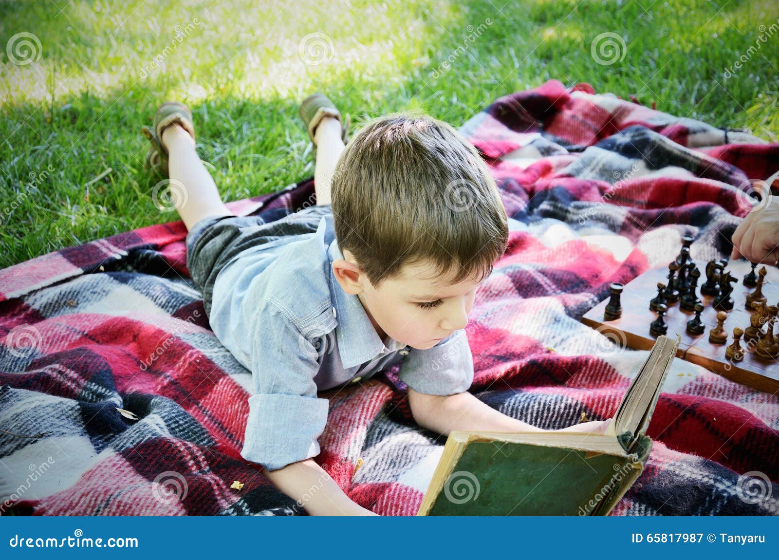 Little Boy Reading a Book while Lying on a Mat in the Park Stock Image ...