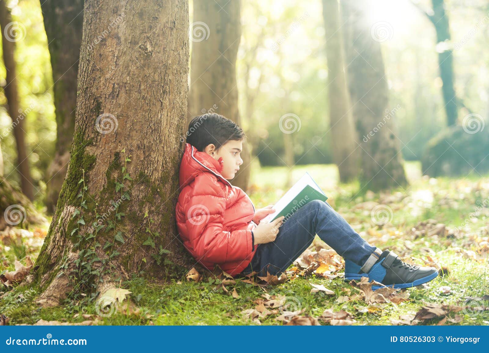 Little Boy Reading Book Outdoors Stock Image - Image of grass, happy ...
