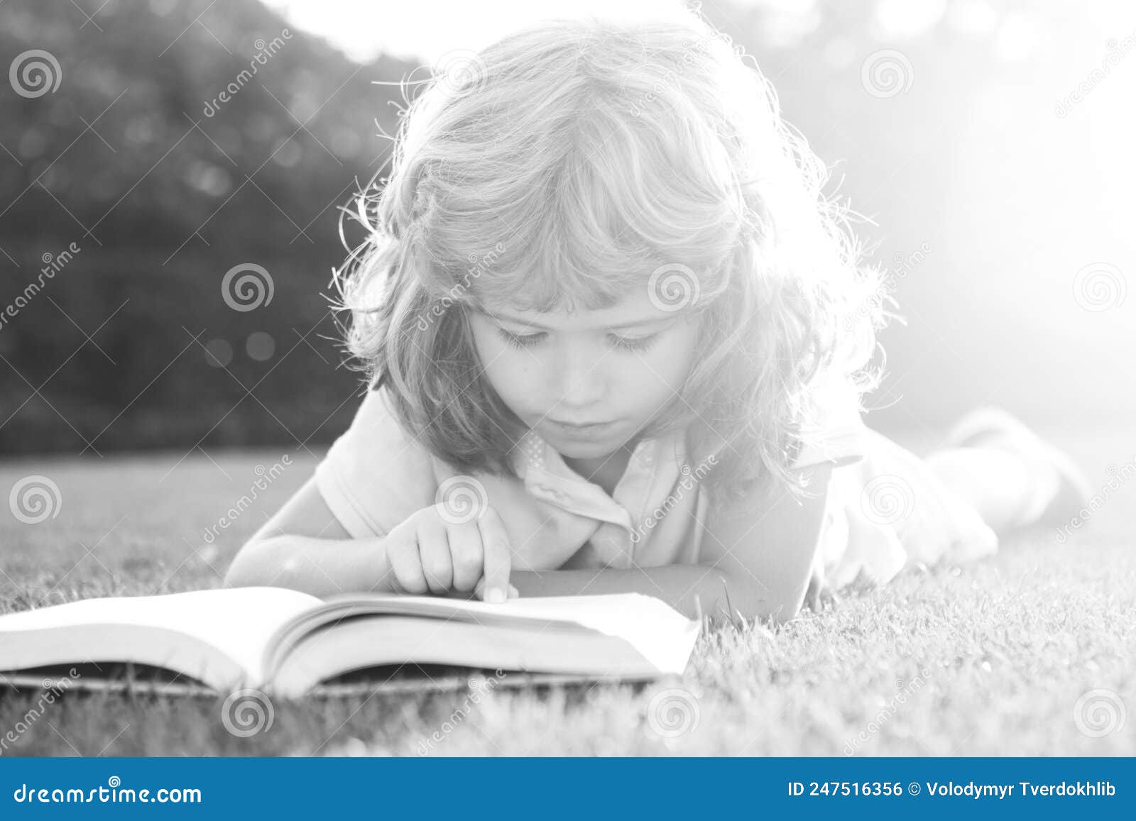 Little Boy Reading a Book in Summer Sunset Light. Stock Photo - Image ...