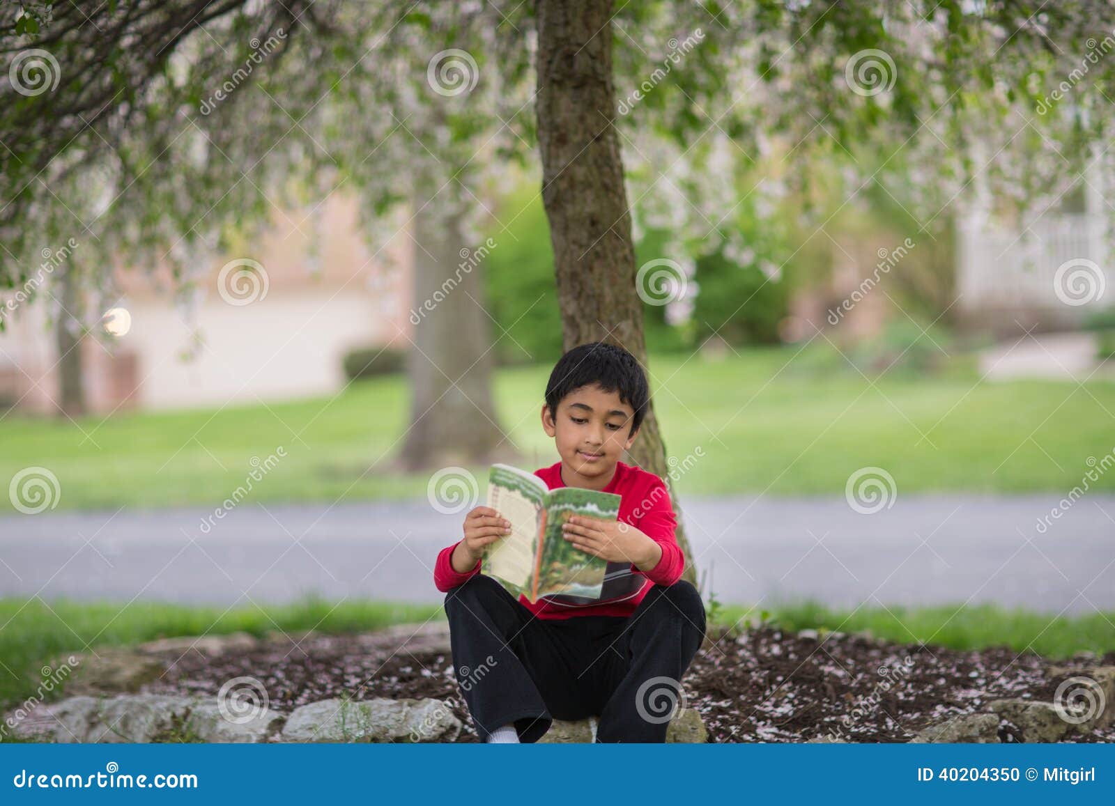 Boy Reading A Book Under The Tree