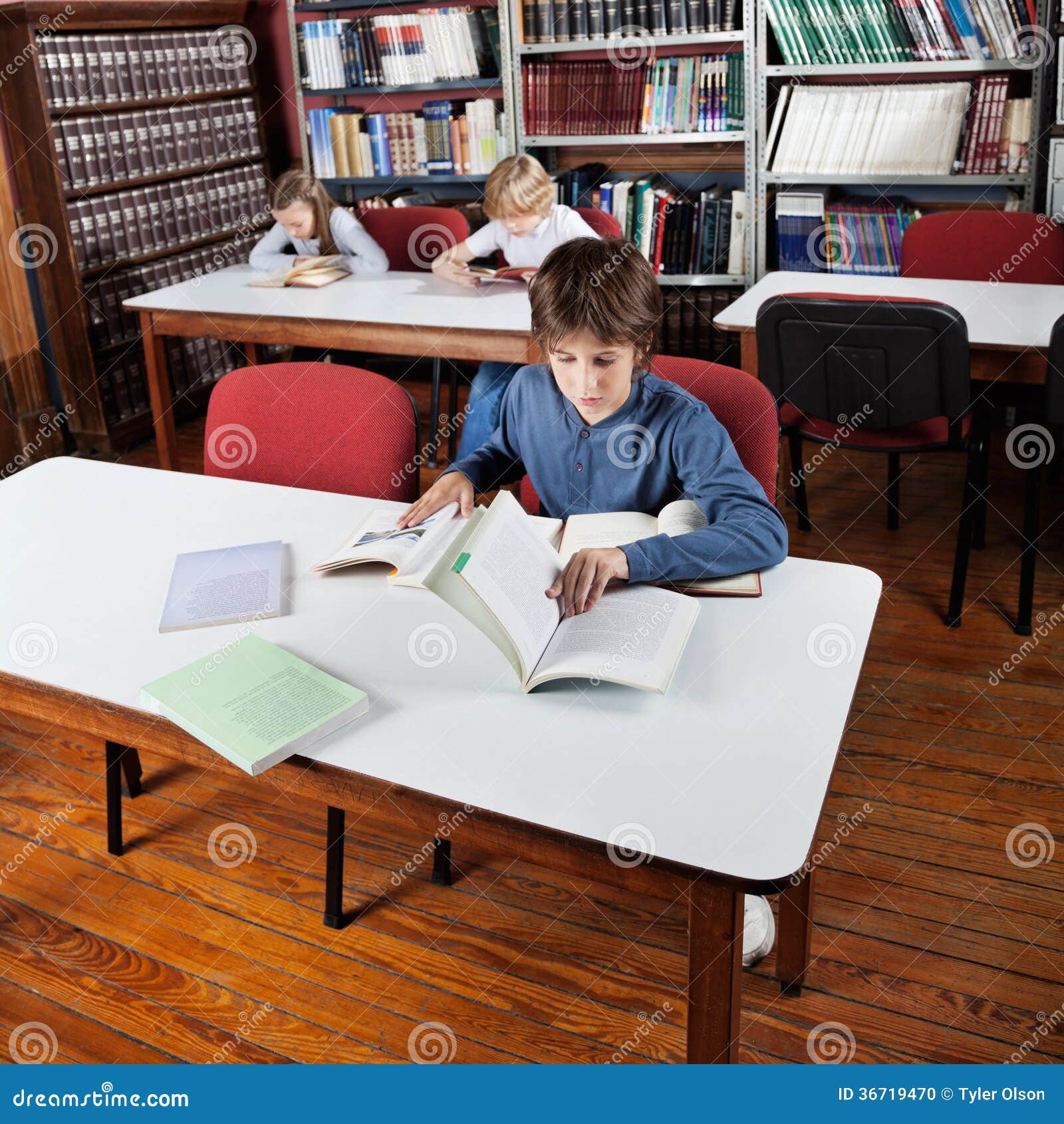 Little Boy Reading Books in Library Stock Photo - Image of knowledge ...