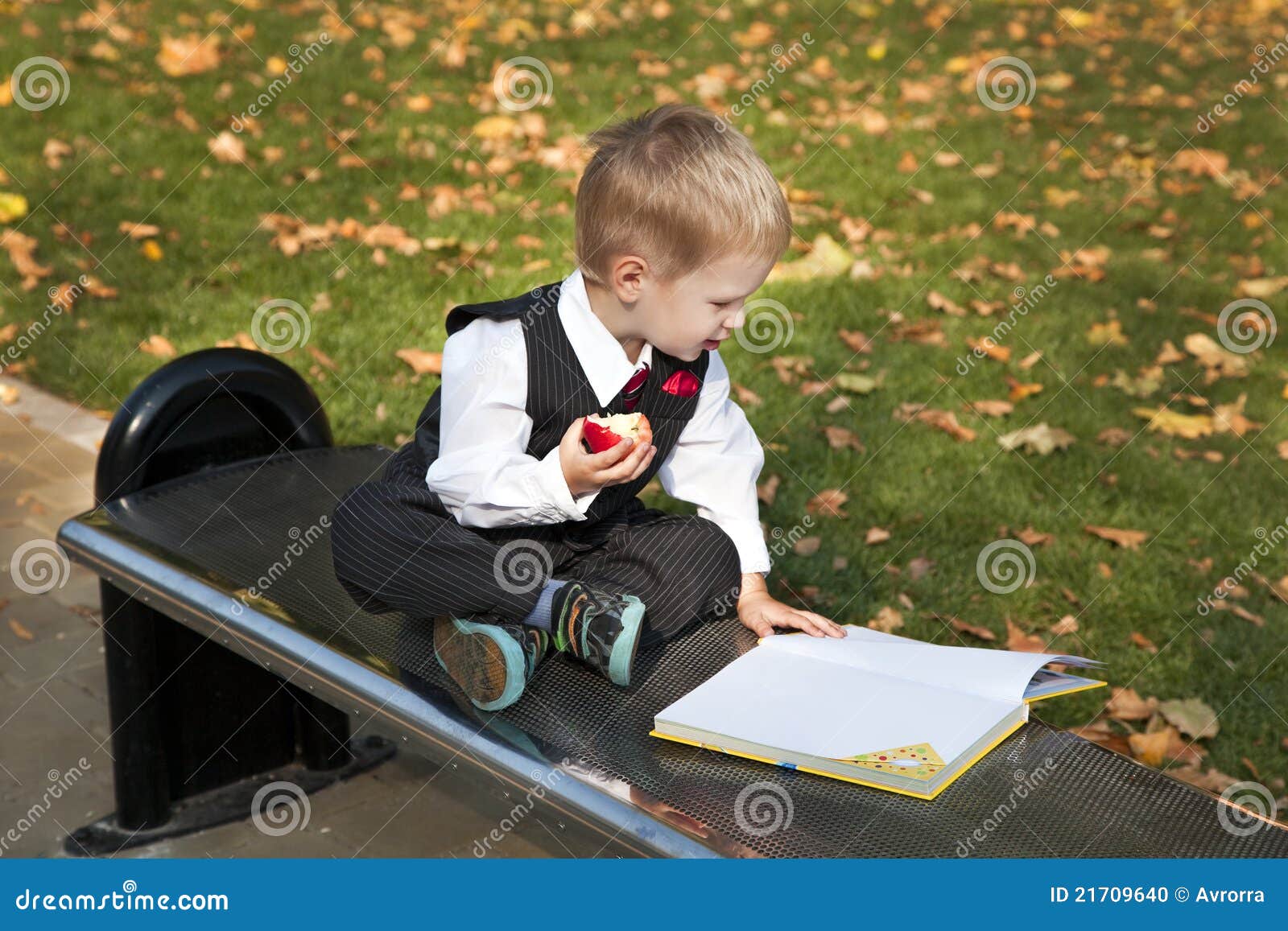 Little boy reads a book stock photo. Image of sitting - 21709640 Little boy reads a book stock photo. Image of sitting - 21709640