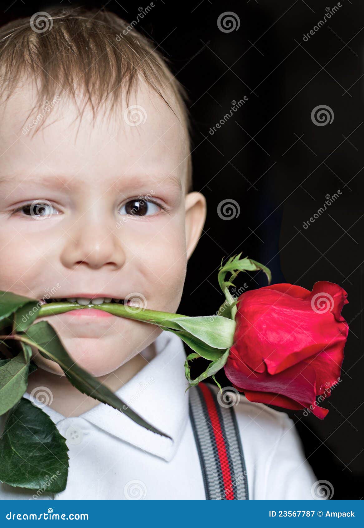 Little boy with red rose stock image. Image of date, young - 23567787