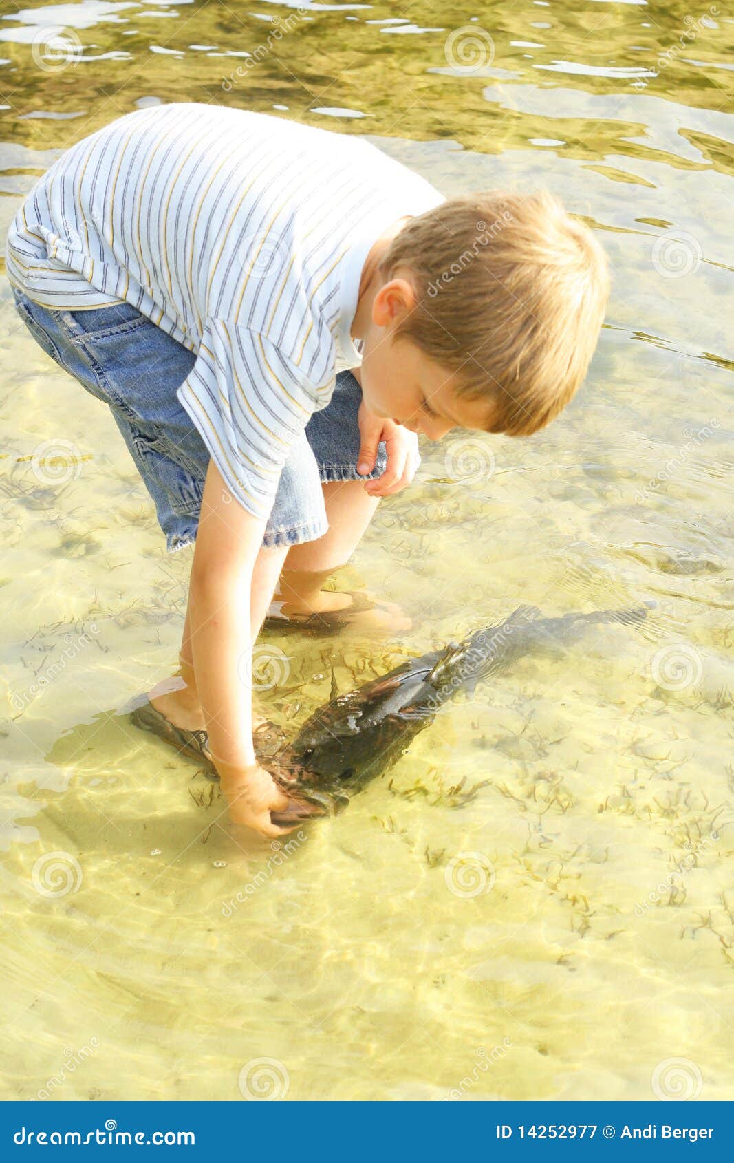 Little boy releasing fish stock image. Image of outside - 14252977