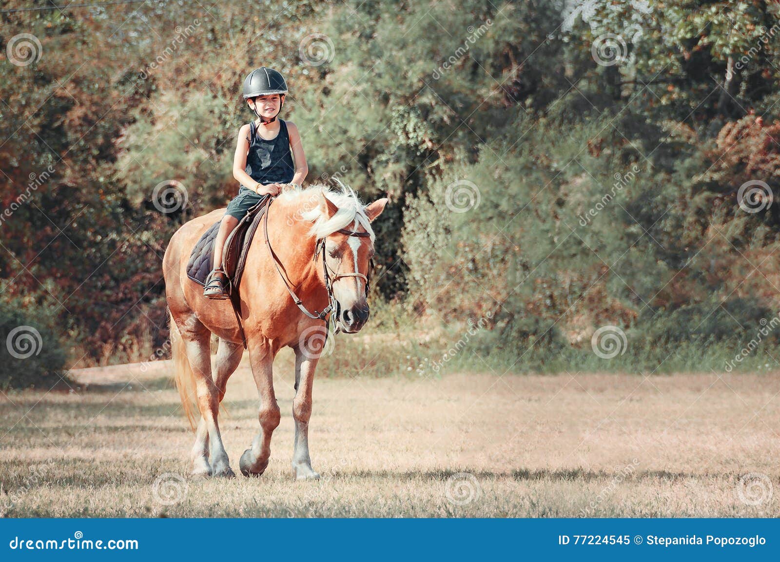 Little Boy Riding the Horse. Stock Image - Image of hippotherapy ...