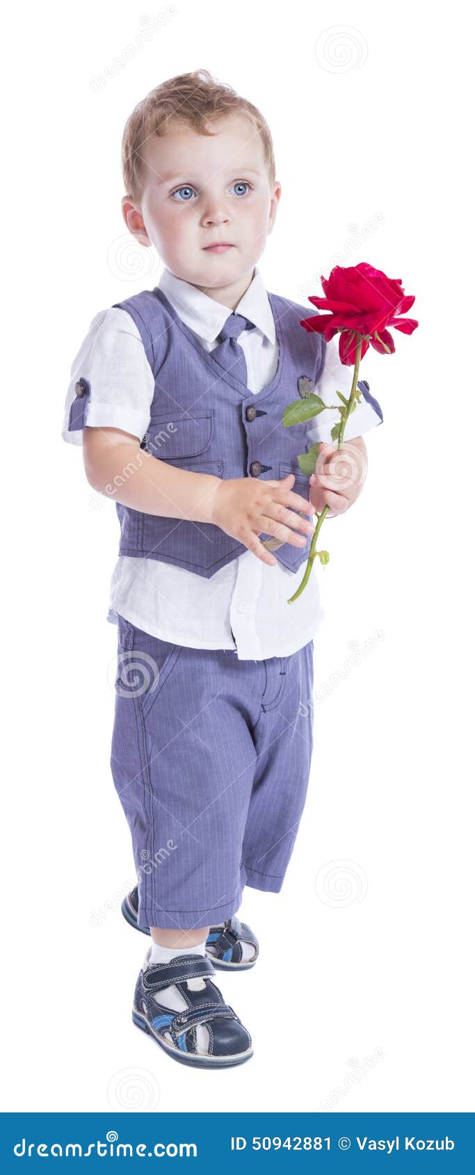 Little boy with a rose stock image. Image of hope, present - 50942881