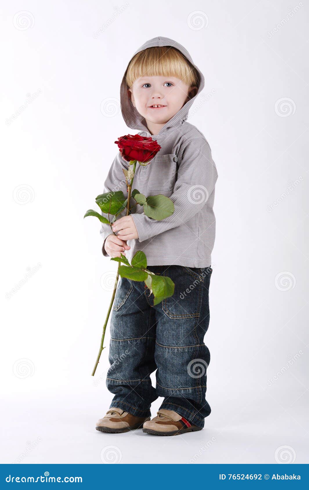Little Boy with Rose on White Stock Photo - Image of child, eyes: 76524692