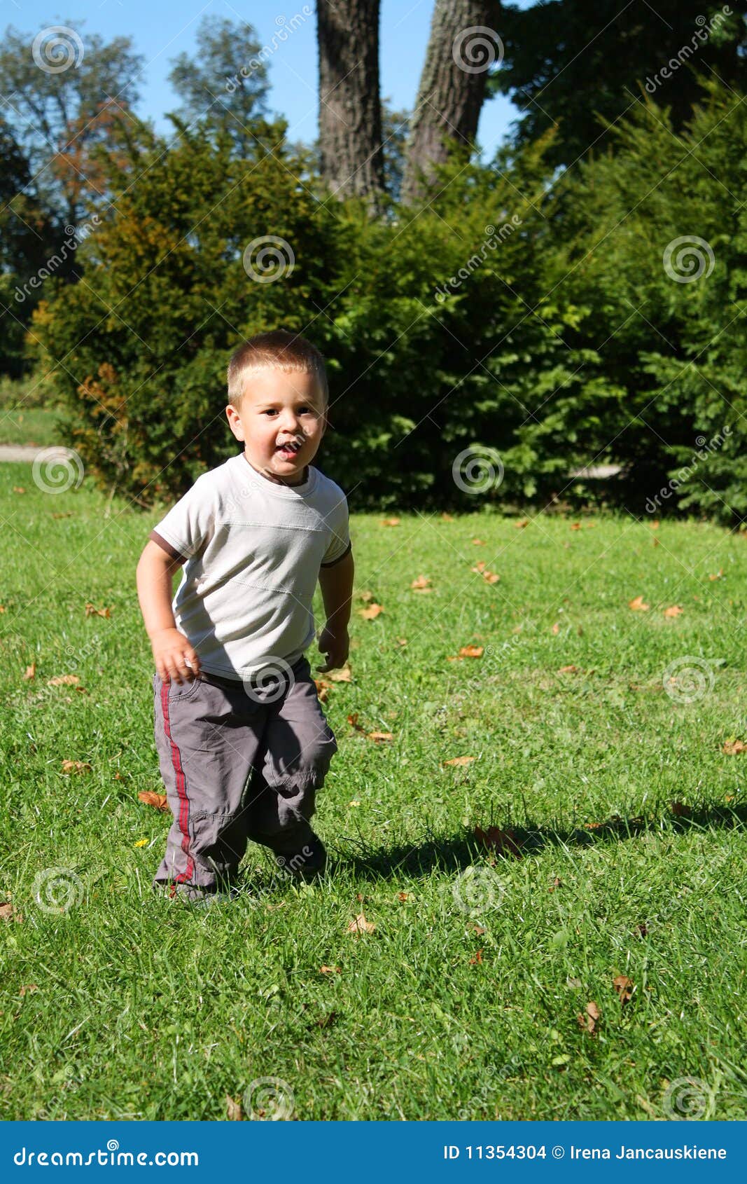Little Boy Running Stock Images - Image: 11354304