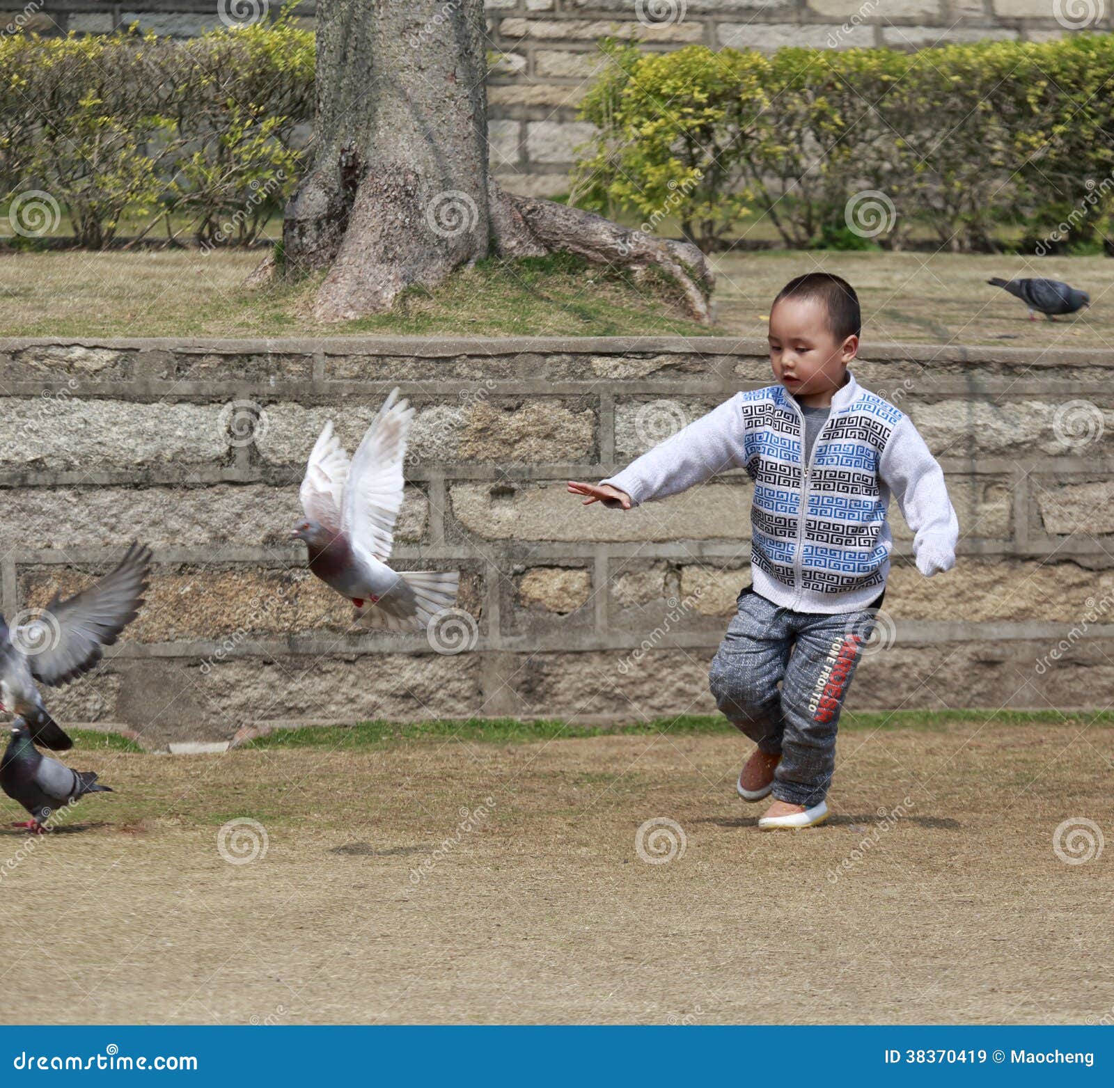 Little Boy Running among Pigeons Editorial Stock Image - Image of ...