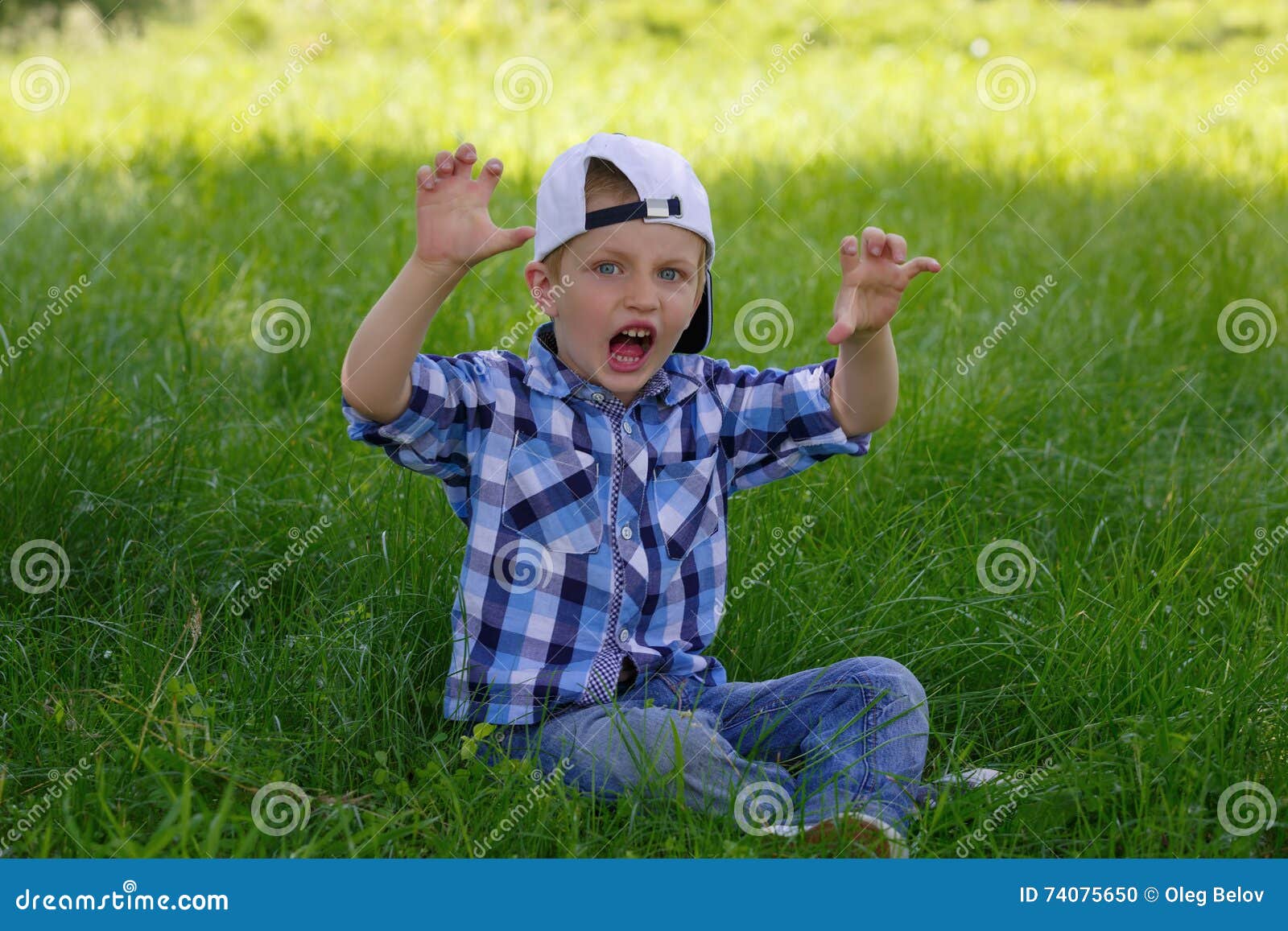 Growling Tiger Royalty-Free Stock Photo | CartoonDealer.com #12211155