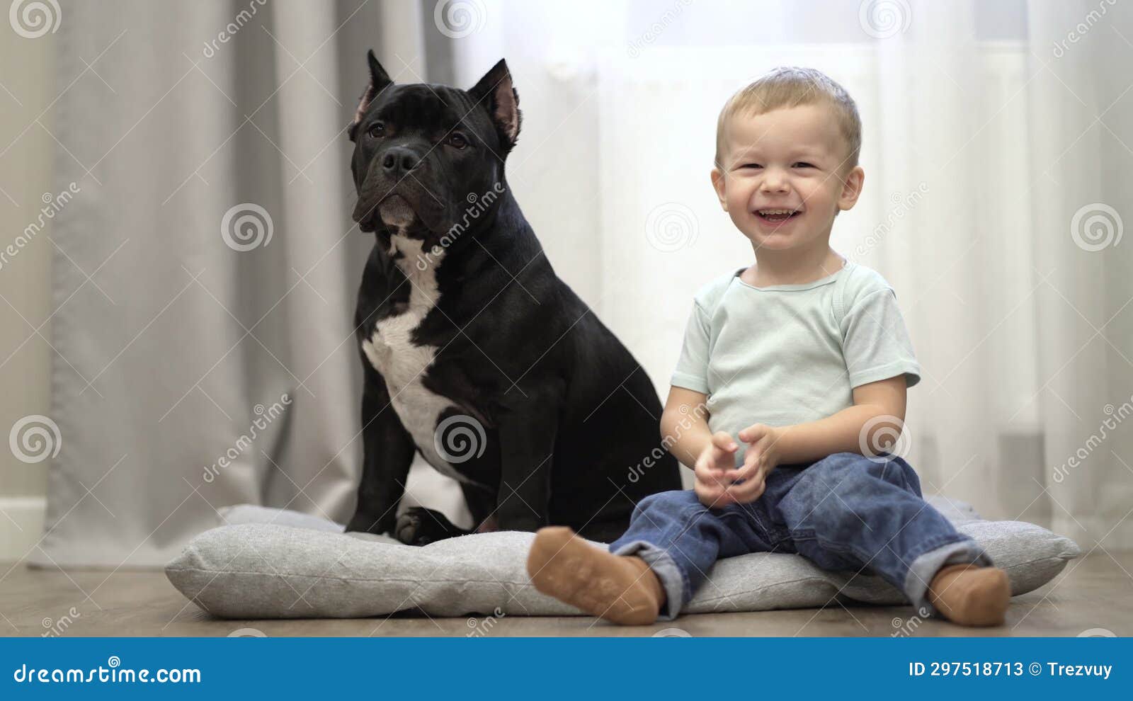 Little Boy Sitting with a American Bully Dog and Hugging it Stock Video ...