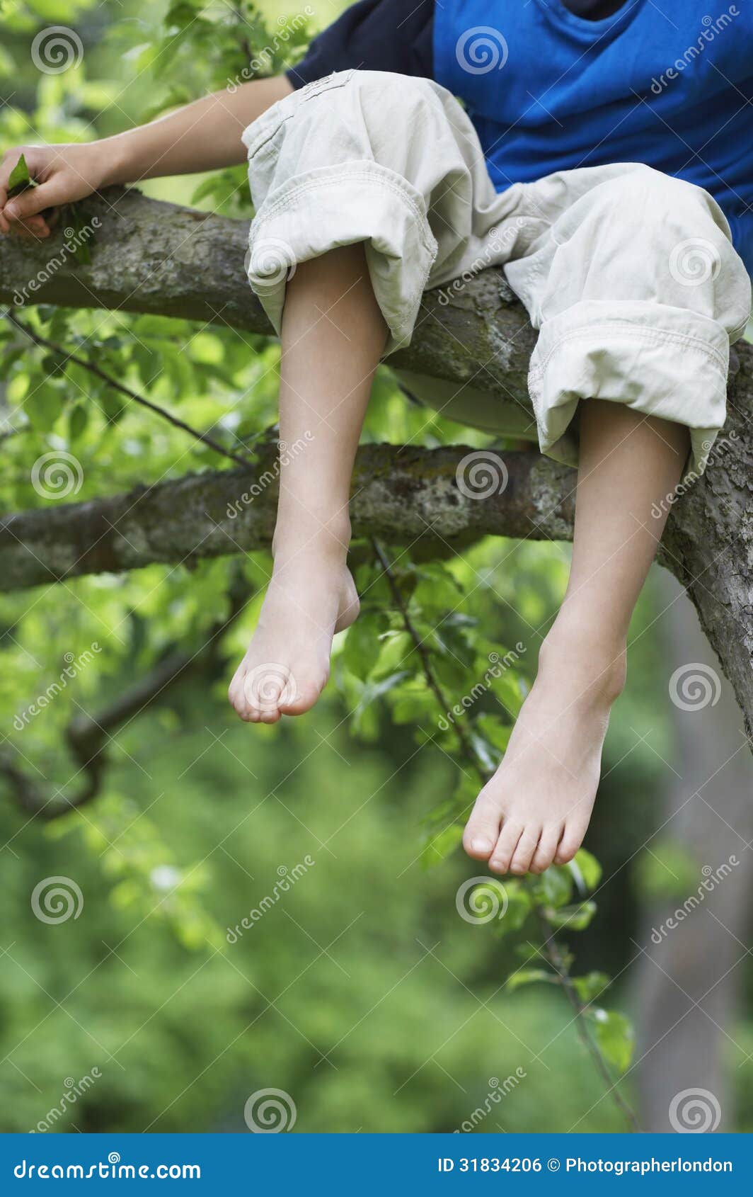 Little Boy Sitting on Tree Branch Stock Photo - Image of children ...