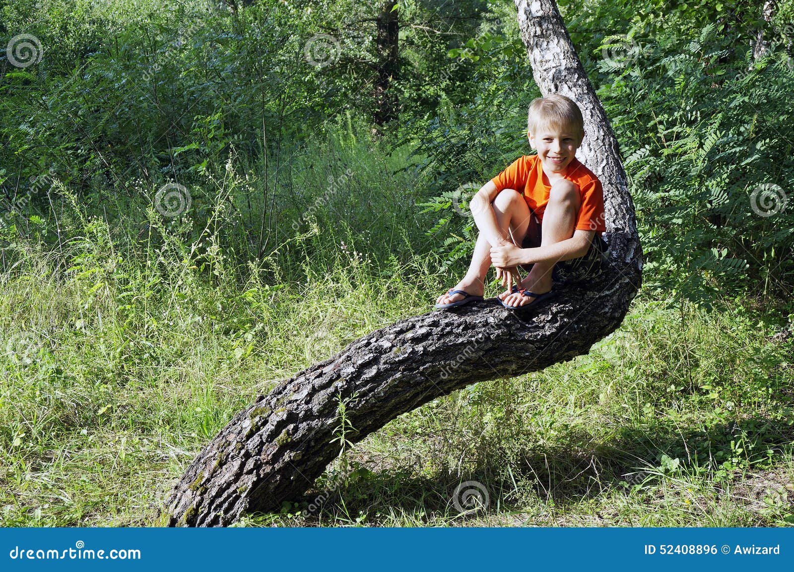 Little boy sitting on tree stock photo. Image of blurred - 52408896