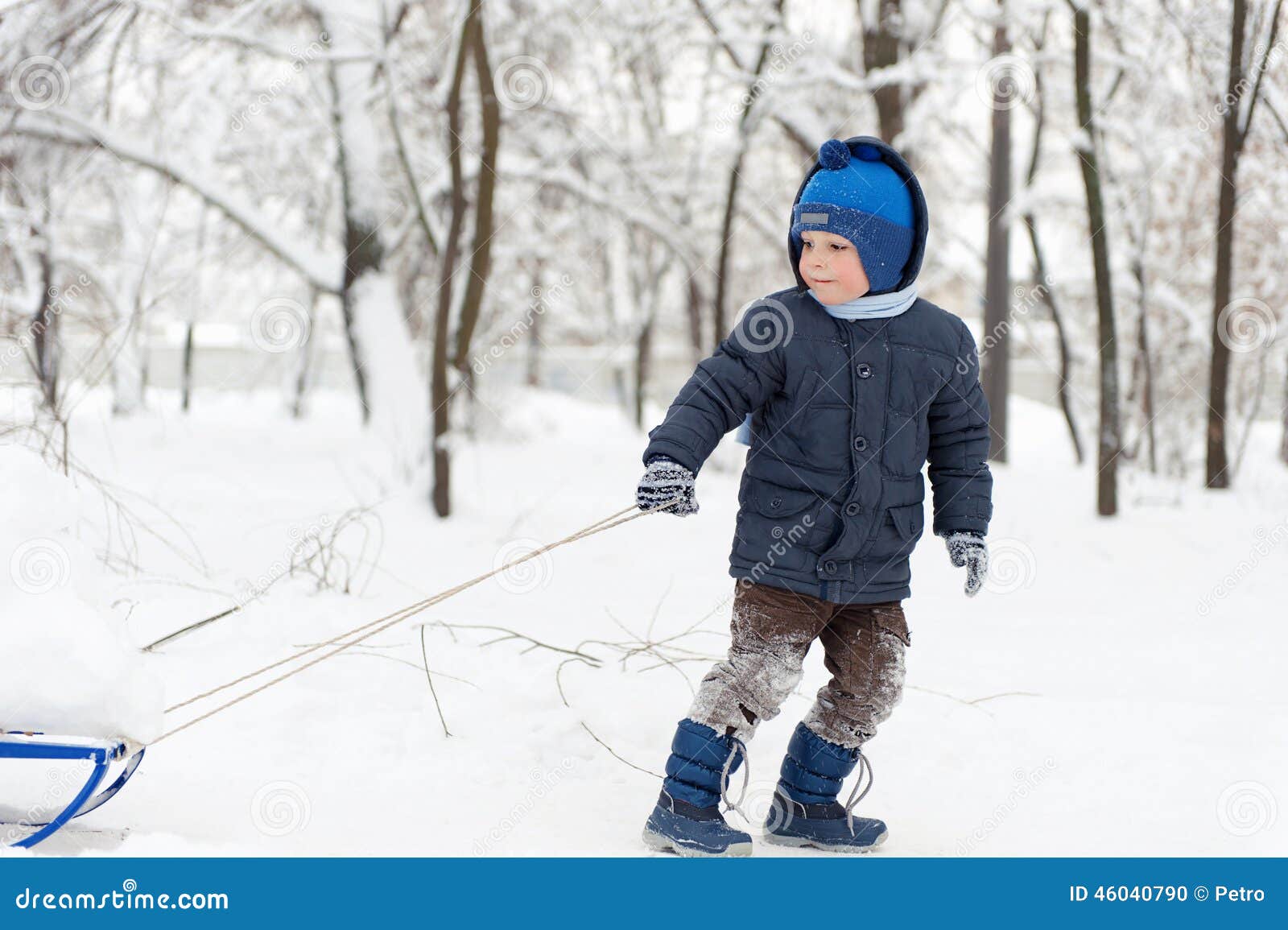 Little Boy Sledding in Snow Forest Stock Photo - Image of cold ...