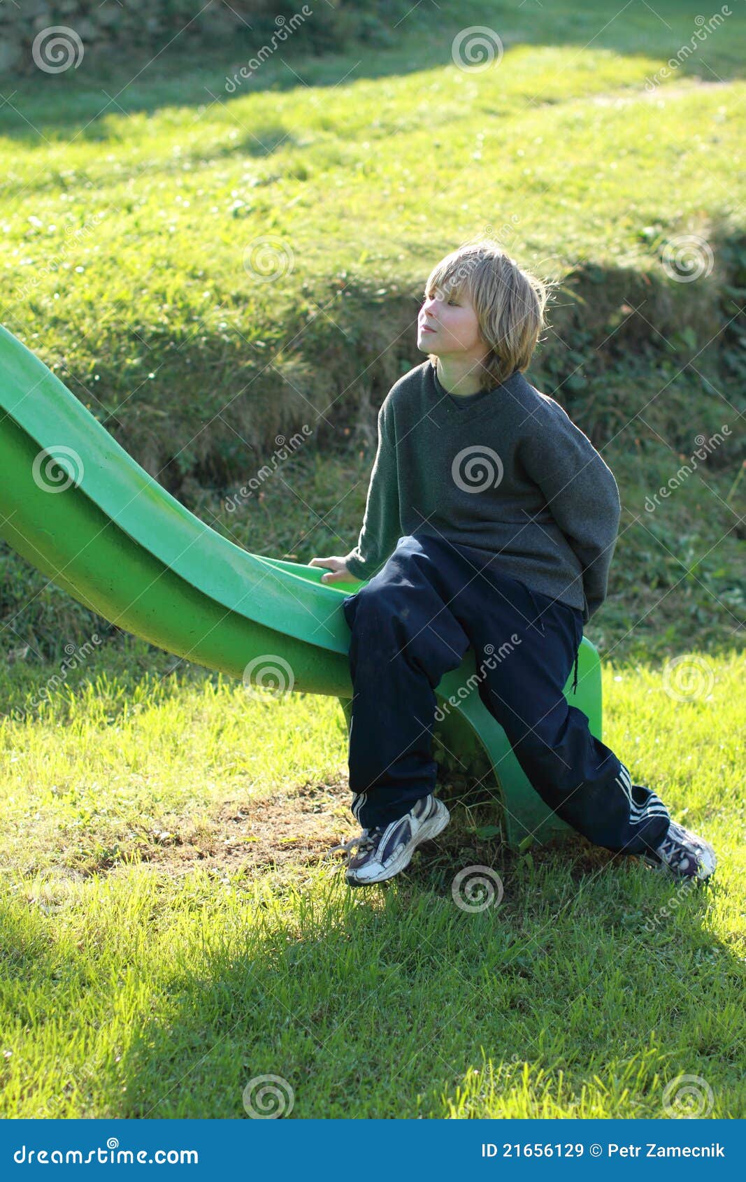 Little boy on a slide stock image. Image of grass, smiling - 21656129