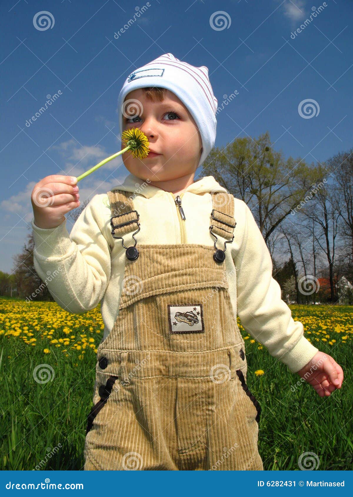 Little boy smell flower stock image. Image of green, spring - 6282431