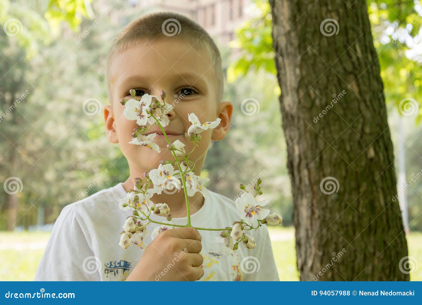 Little Boy Smelling Flowers Stock Photo - Image of people, orange: 94057988