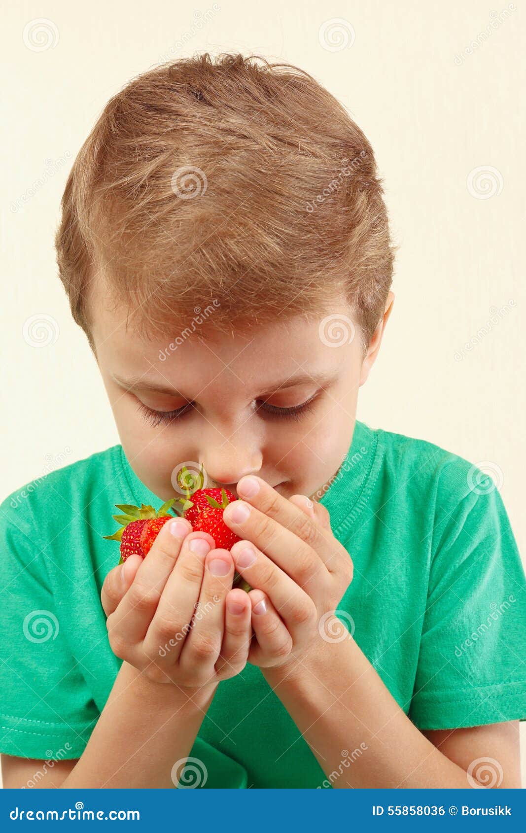 Little Boy Smelling Handful of Fresh Ripe Strawberries Stock Photo ...