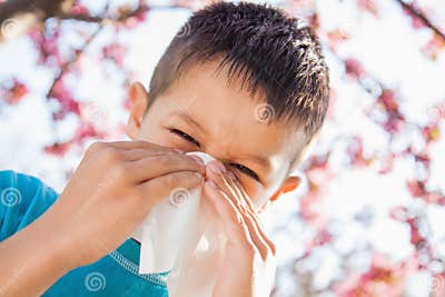 Little boy sneezing stock photo. Image of health, spring - 41311170