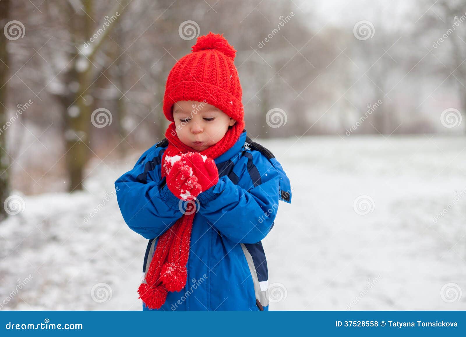 Little boy in the snow stock photo. Image of small, surprise - 37528558