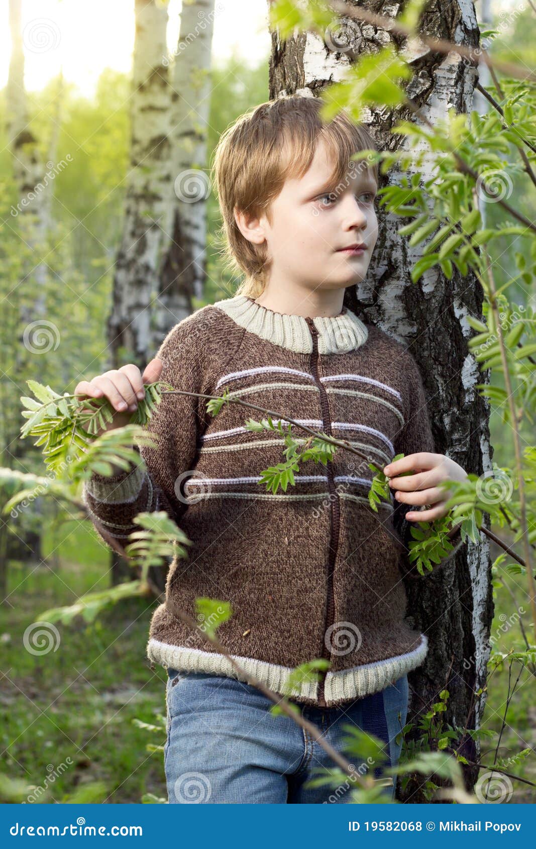 Little Boy in Spring Birch Forest Stock Photo - Image of jacket ...