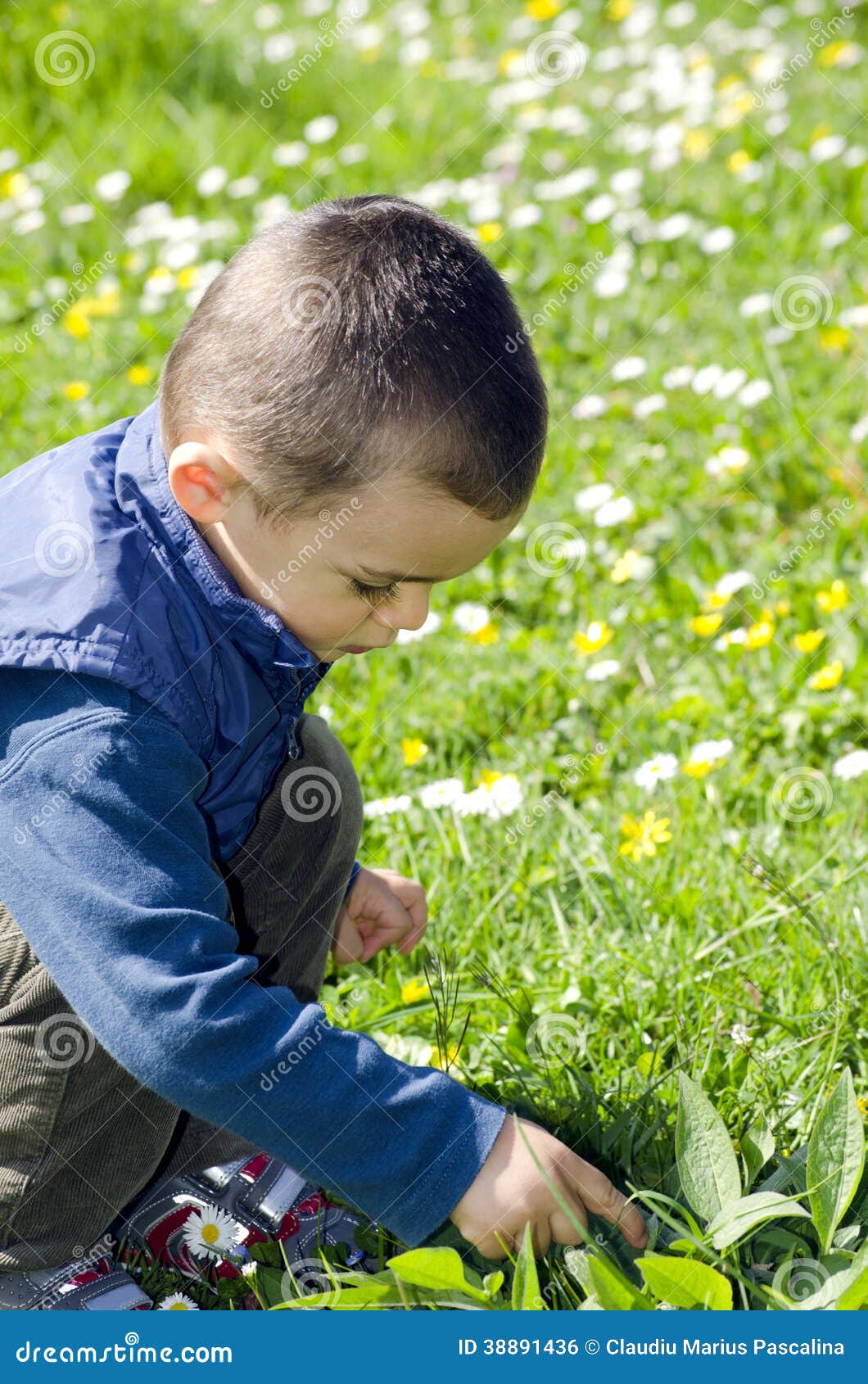 Little boy spring stock photo. Image of fresh, blossom - 38891436