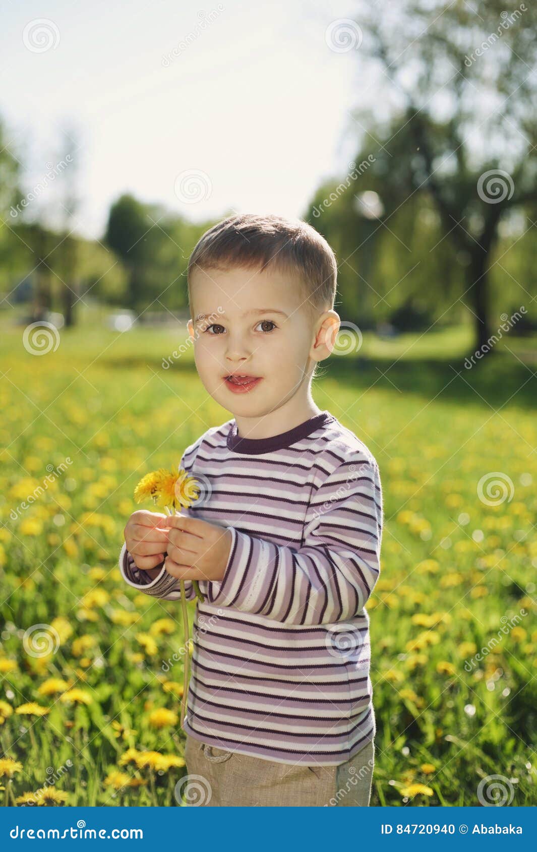 Little Boy in Spring Dandelion Meadow Stock Photo - Image of happy ...