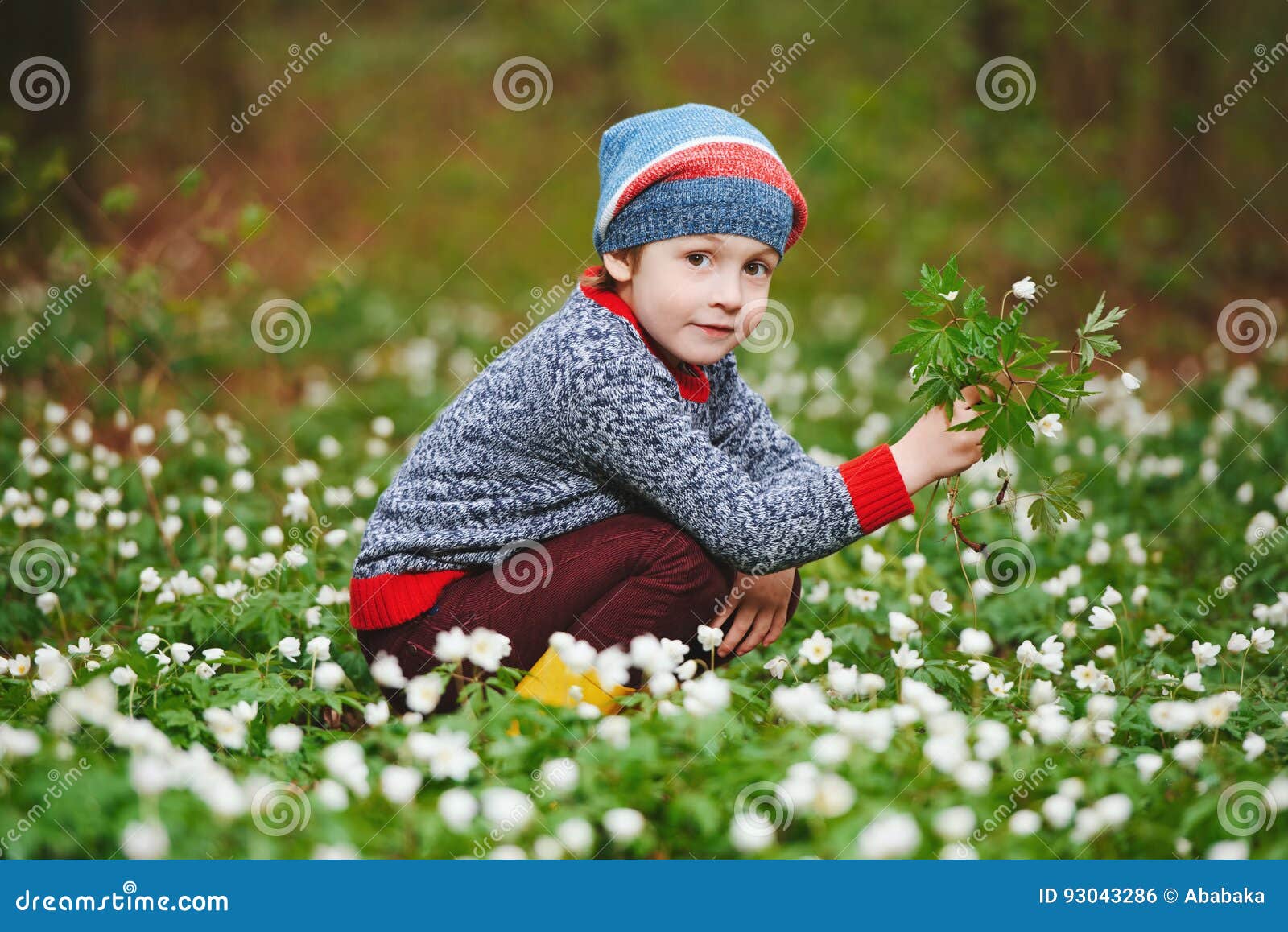 Little Boy in Spring Forest with Many Flowers Stock Photo - Image of ...