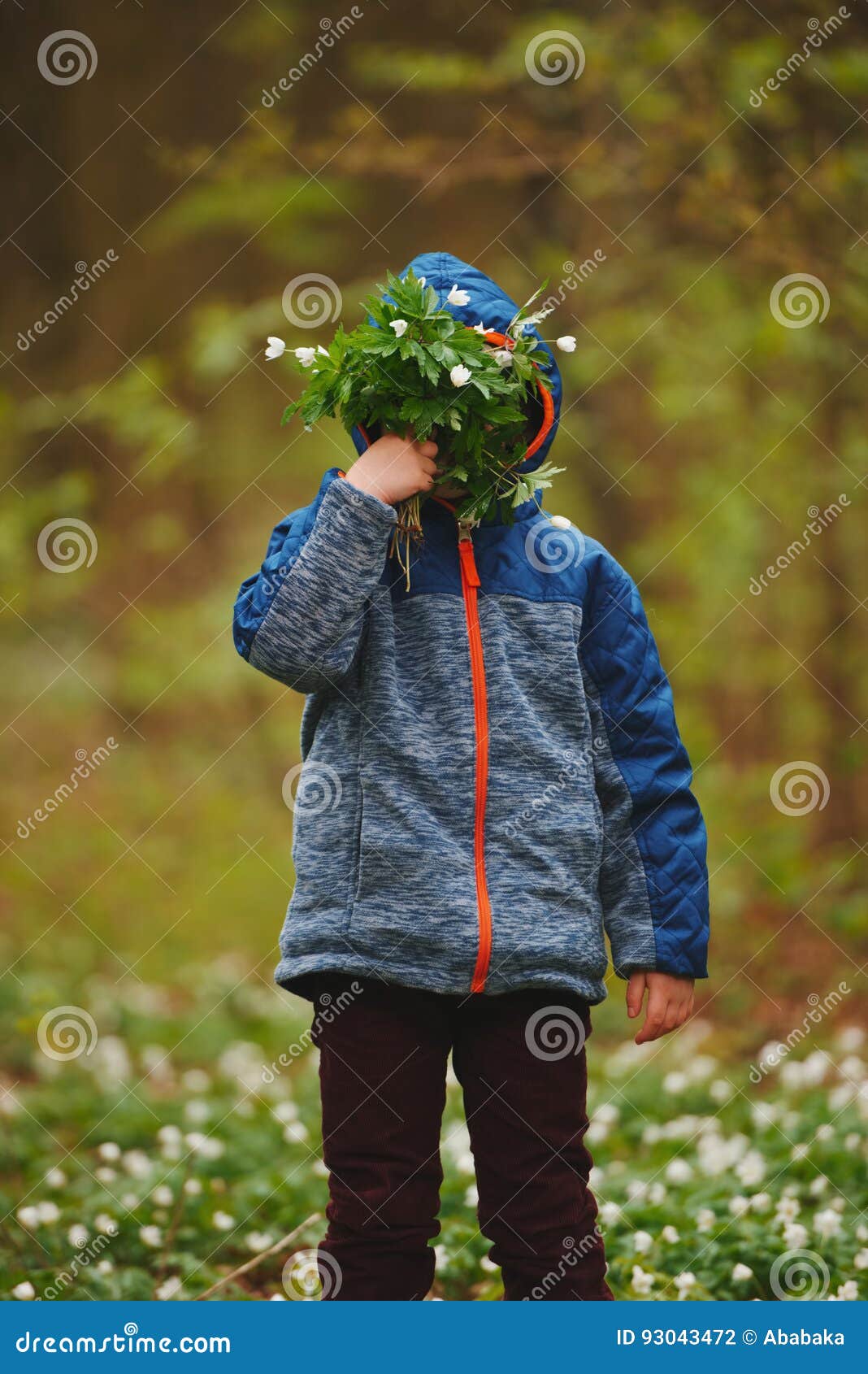 Little Boy in Spring Forest with Many Flowers Stock Photo - Image of ...