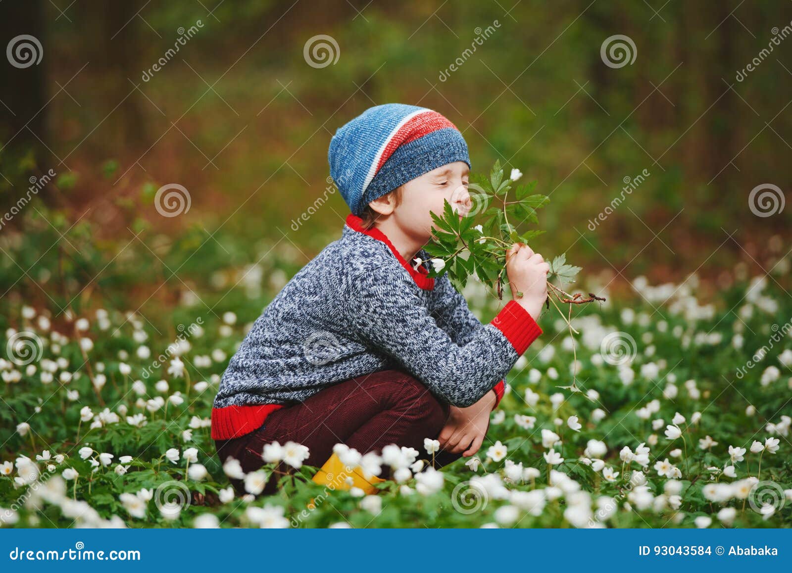 Little Boy in Spring Forest with Many Flowers Stock Photo - Image of ...