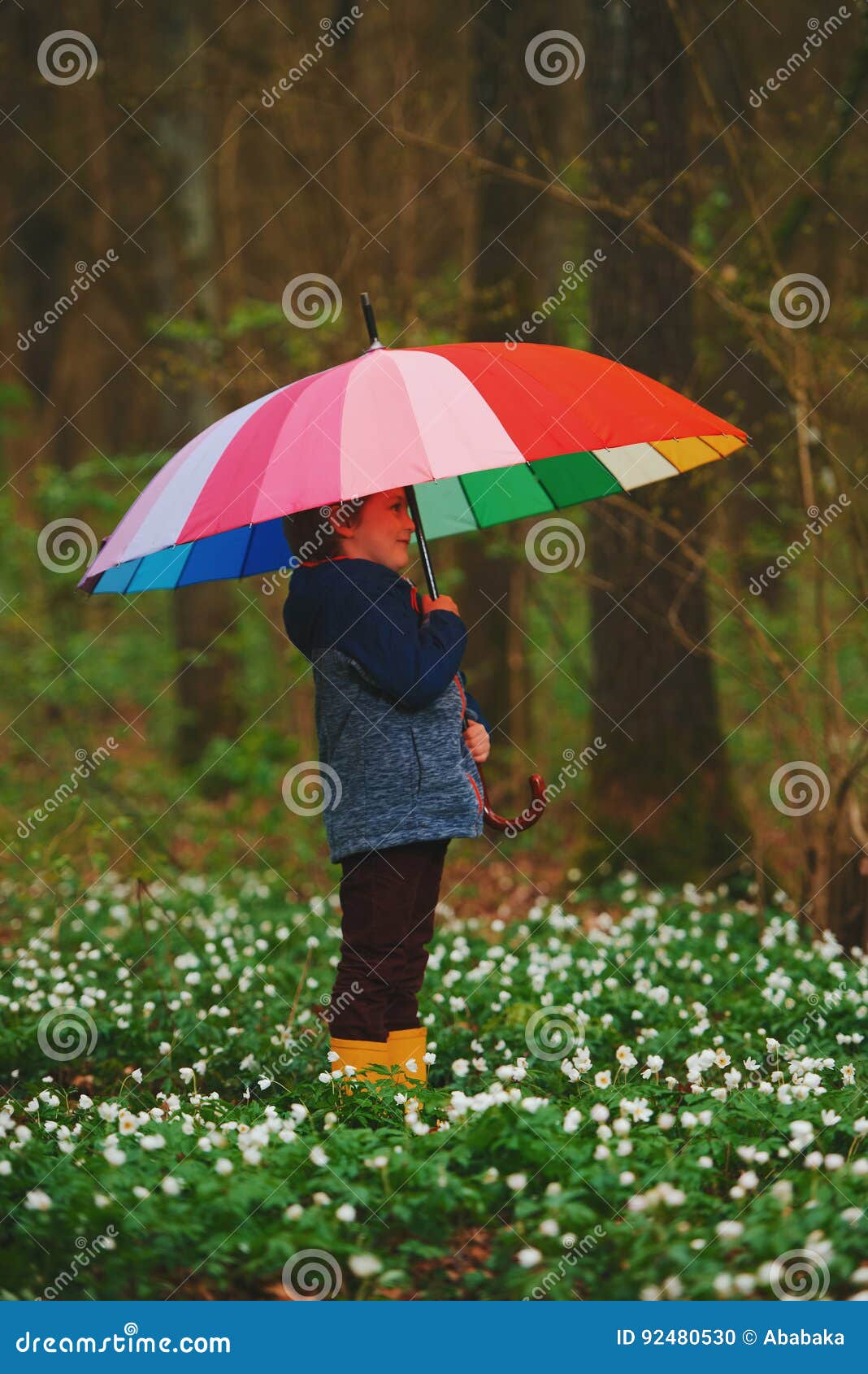 Little Boy in Spring Forest with Umbrella Stock Photo - Image of ...