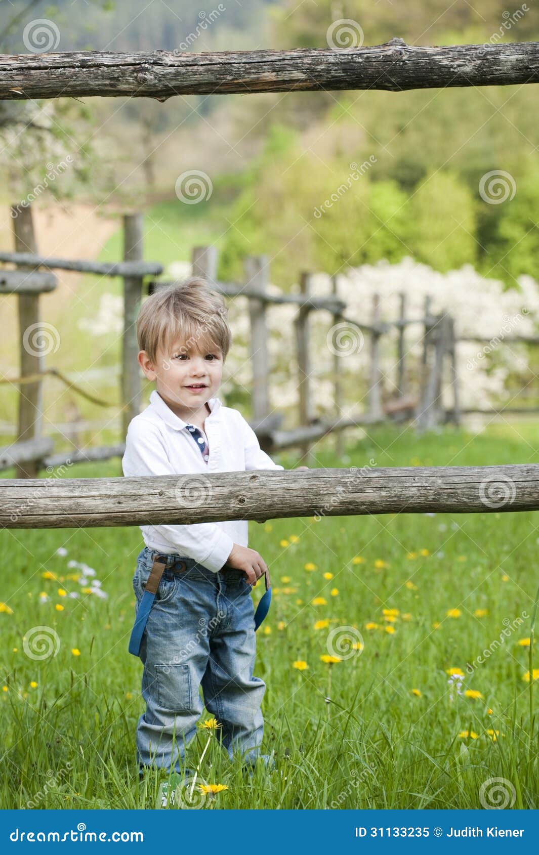 Little boy stock image. Image of flower, summer, caucasian - 31133235