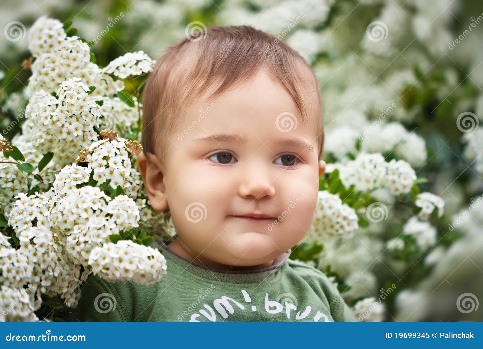 A Little Boy in the Spring Time Stock Image - Image of innocence ...