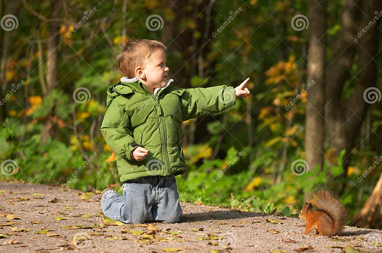 Little boy and squirrel stock image. Image of young, ground - 3274471