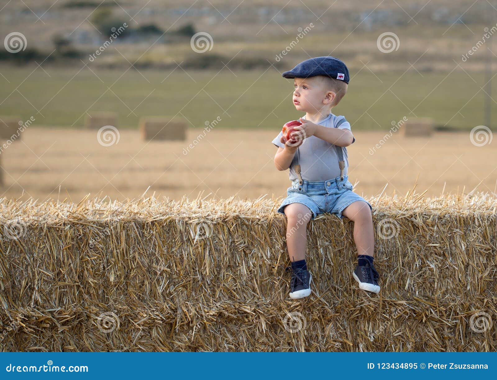 Little Boy on a Stack of Hay Stock Image - Image of young, caucasian ...