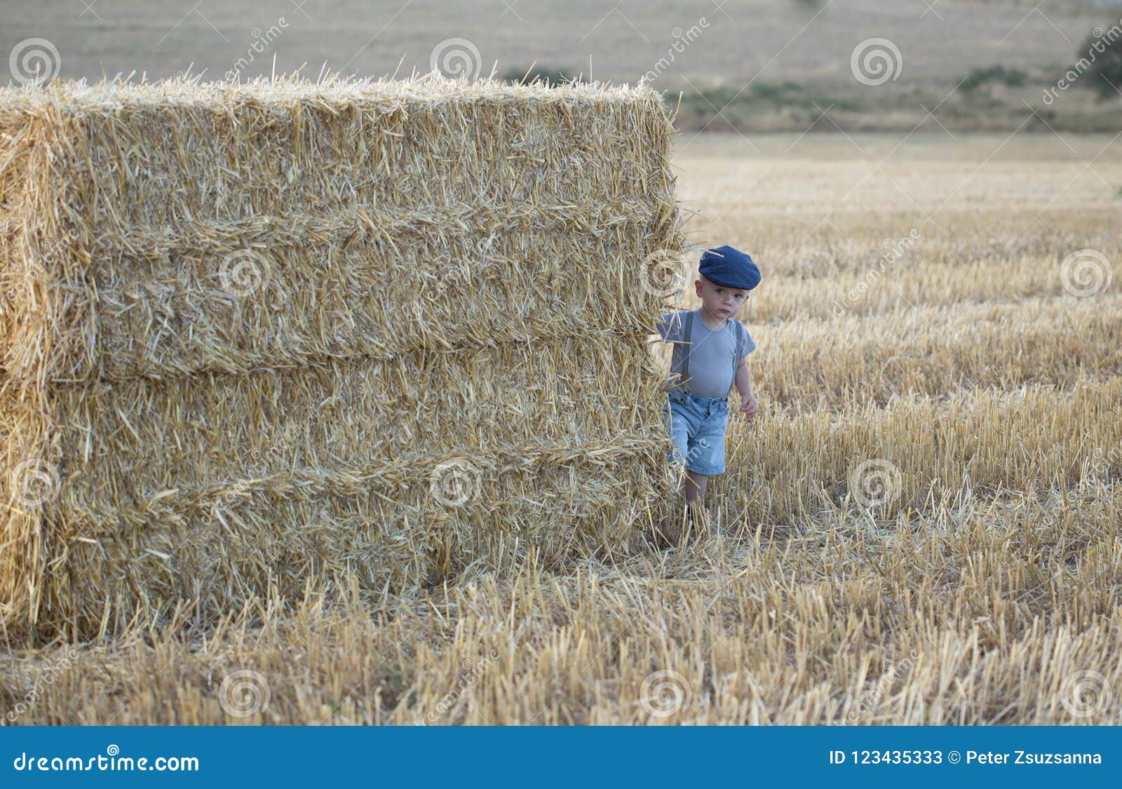 Little Boy on a Stack of Hay Stock Image - Image of childhood, sweet ...