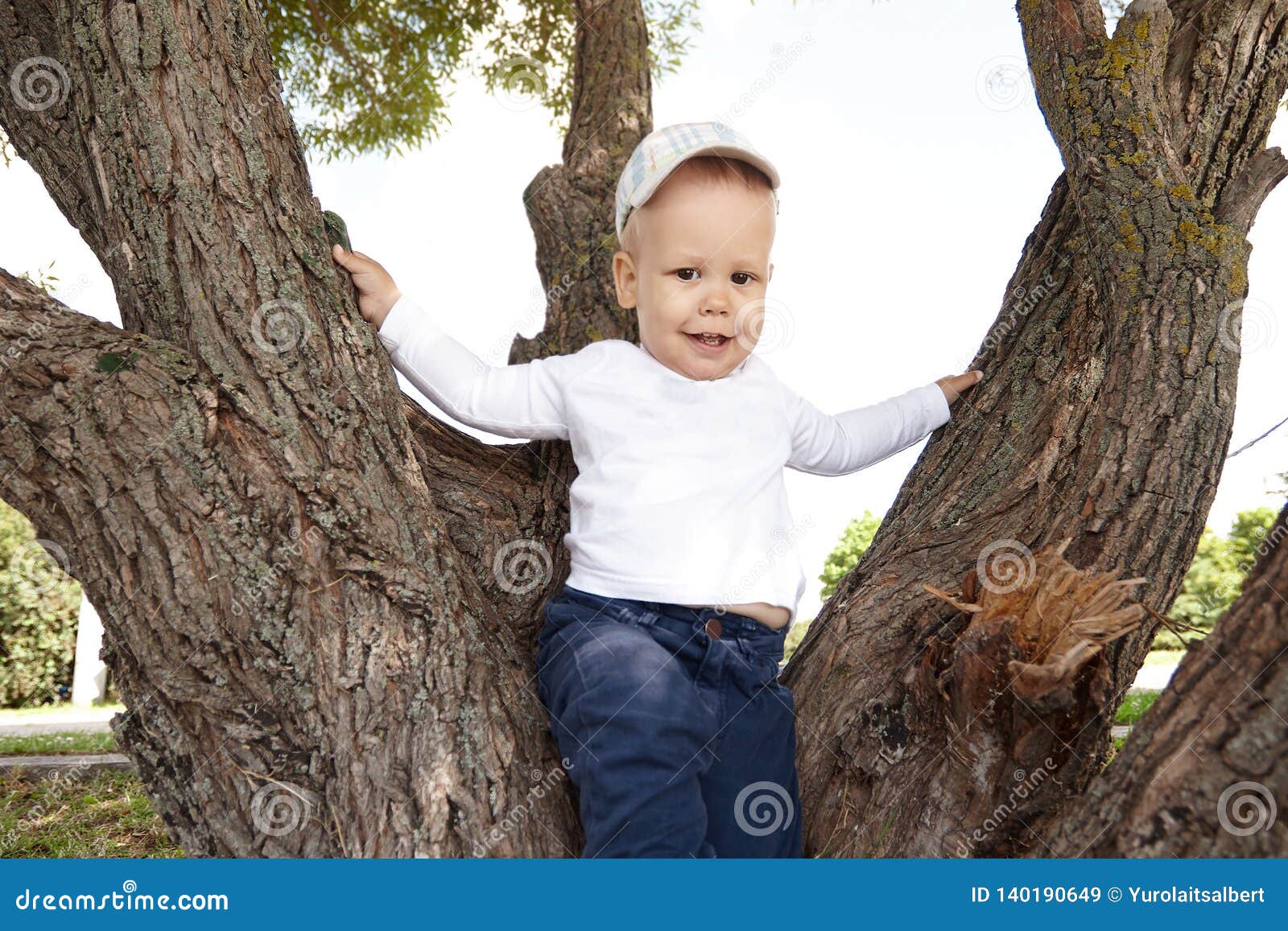 Little Boy Standing among the Branches of a Big Tree Stock Image ...