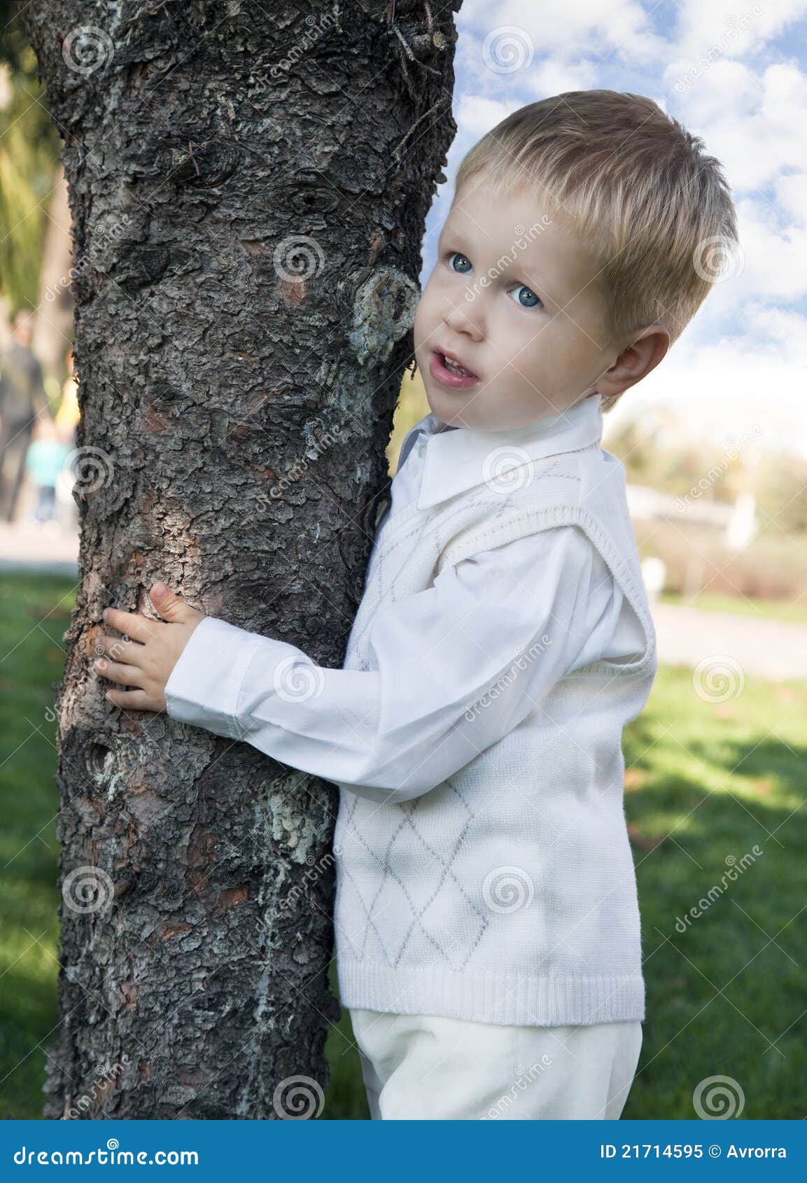 Little Boy Standing Near the Tree Stock Image - Image of lifestyle ...